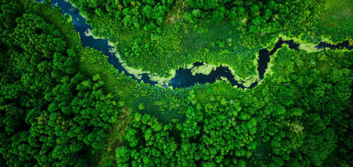 Forto & Planet: Sneak peek #1 at our Sustainability Report 2024