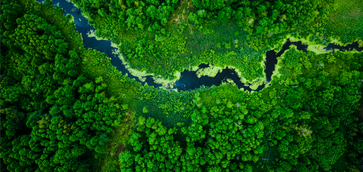 Forto & Planet: Sneak peek #1 at our Sustainability Report 2024